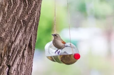 Elementary Early Out STEAM | Waukee Public Library